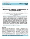 Yield of different white button strains in sugar cane by product-based ...